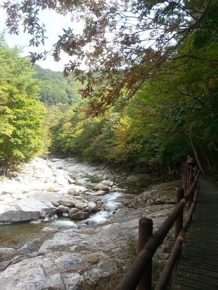 지리산 뱀사골계곡 가을..